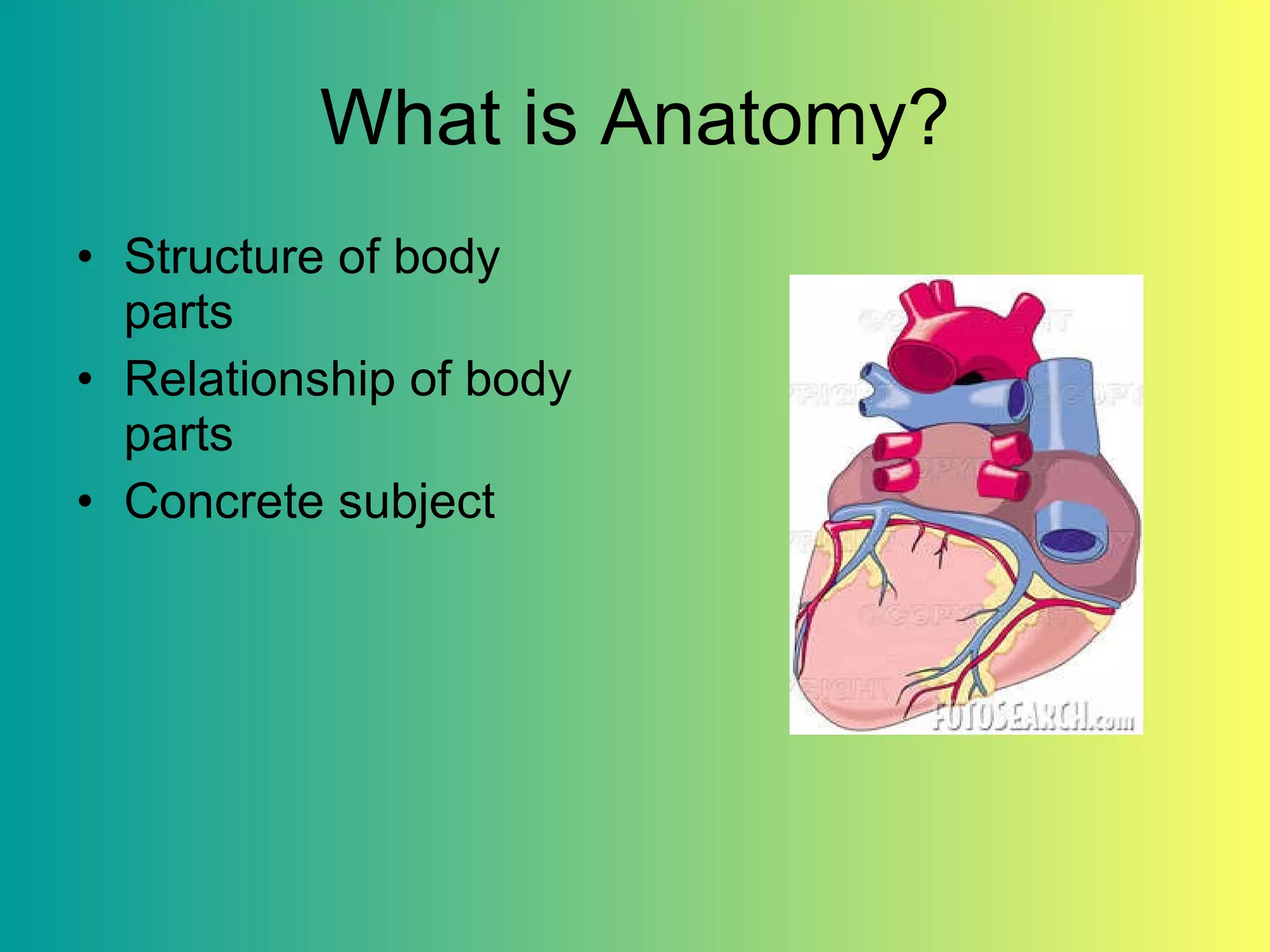 Orientation Of Human Body | PPT