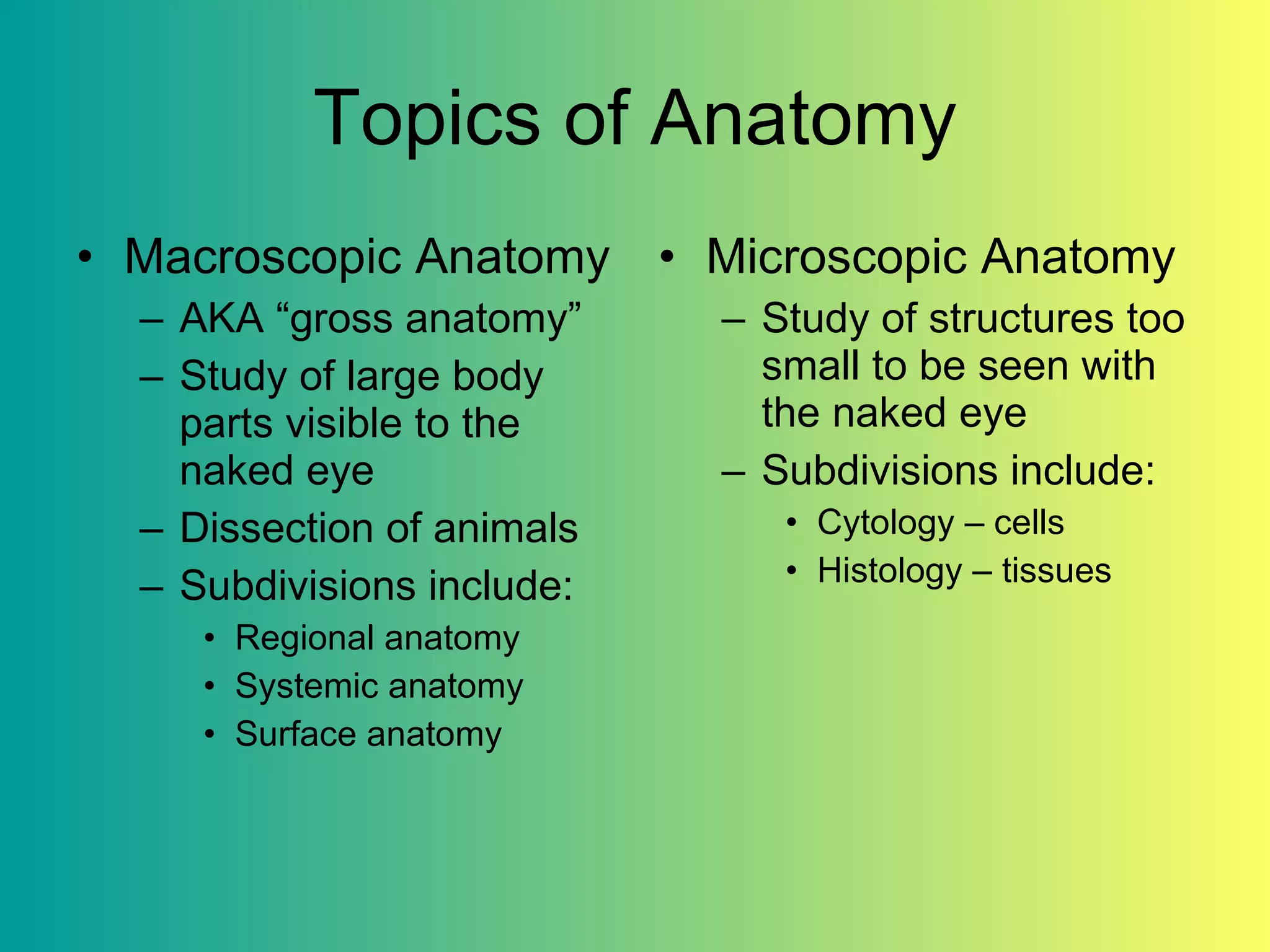 Orientation Of Human Body | PPT