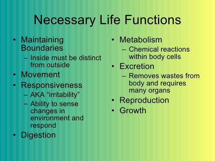 Orientation Of Human Body