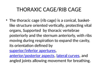 Orientation of Thoracic cage- boundaries, inlet, outlet & wall.pptx