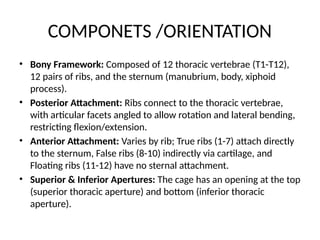 Orientation of Thoracic cage- boundaries, inlet, outlet & wall.pptx