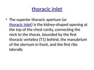 Orientation of Thoracic cage- boundaries, inlet, outlet & wall.pptx