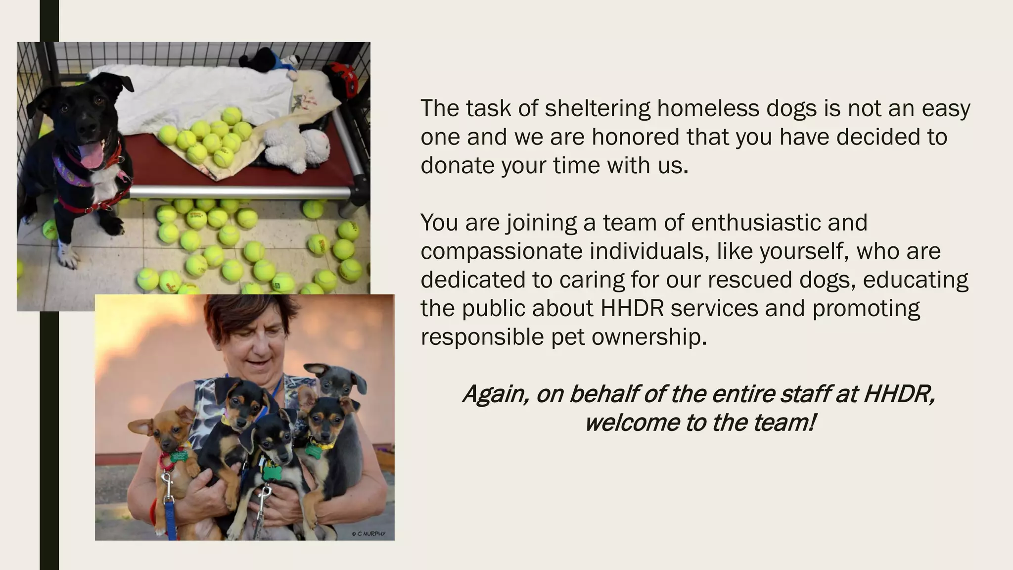 HHDR Volunteer Orientation Presentation | PPT