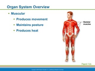 Orientation presentation 1 | PPT