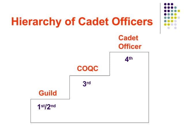 Orientation To Coqc | PPT
