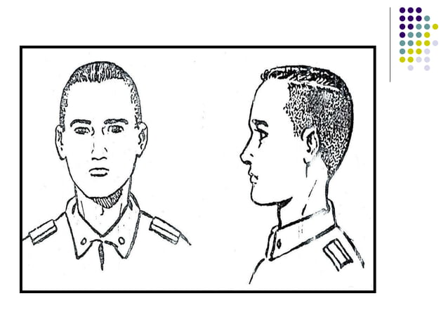 Orientation To Coqc | PPT