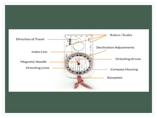 Orienteering | PPTX