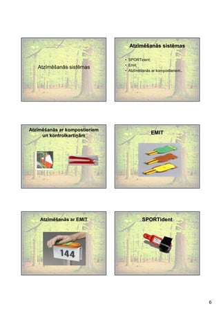 Orientesanas skolam 6 | PDF