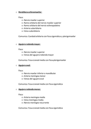 Orificios y hendiduras del cráneo | DOCX
