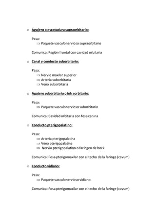 Orificios y hendiduras del cráneo | DOCX
