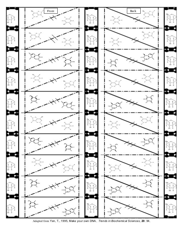 Double Helix Dna Origami