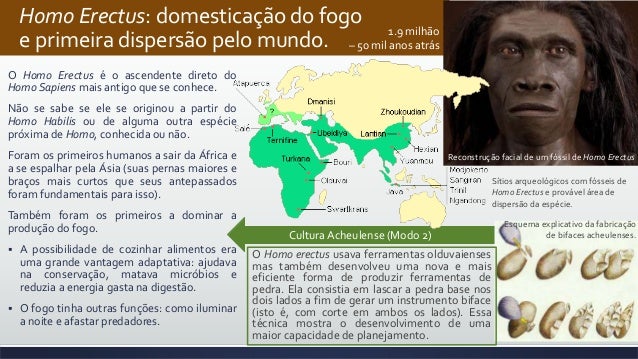 Origem Da Humanidade