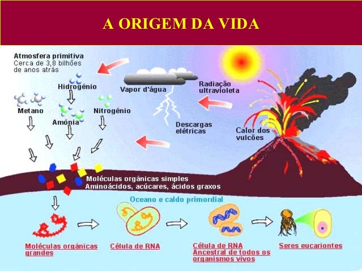 Origem vida 1o._médio