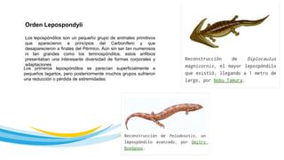 Origen-de-los-vertebrados-pleurocentricos.pptx
