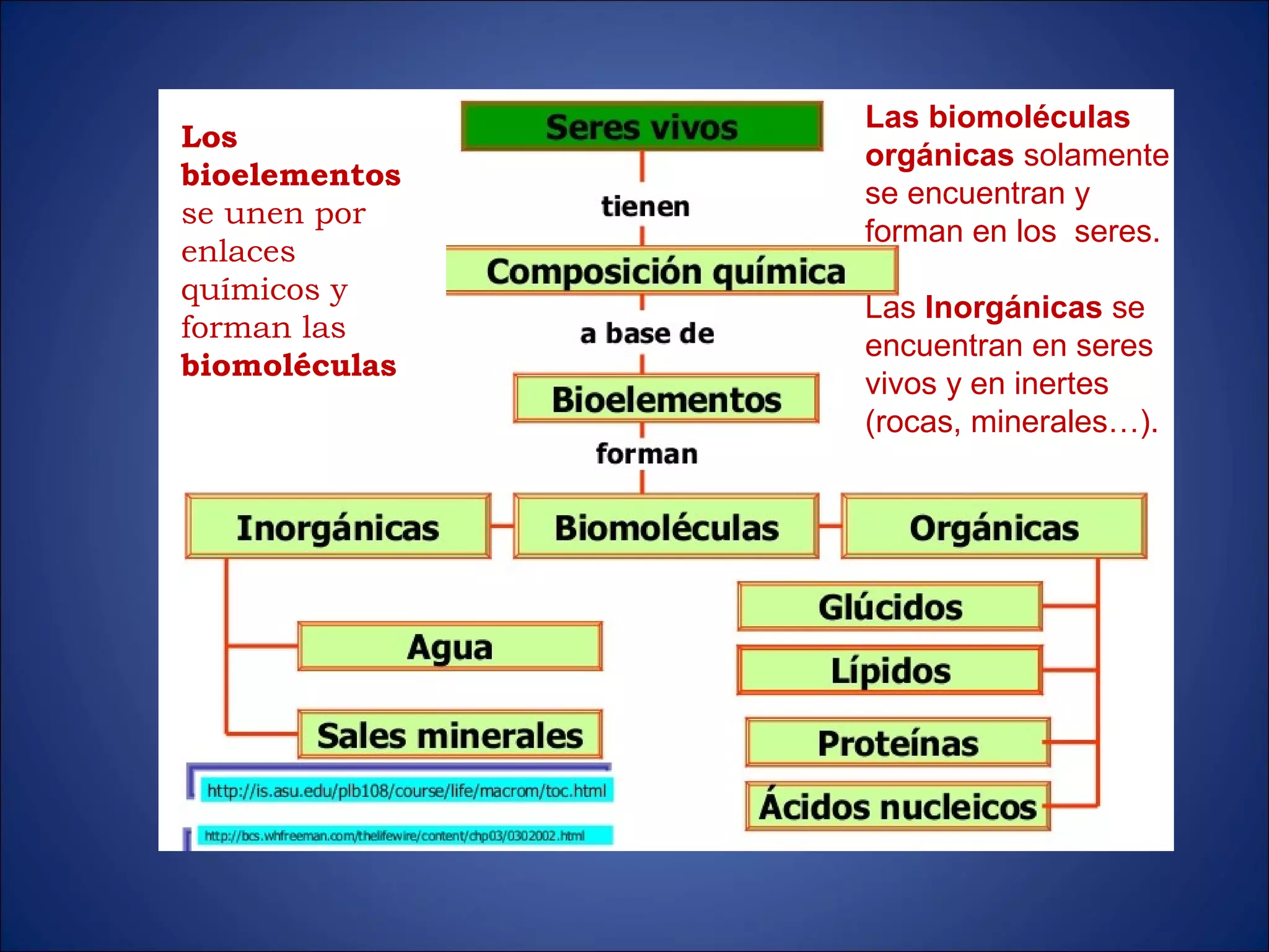 Origen de los bioelementos y biomoléculas | PPT