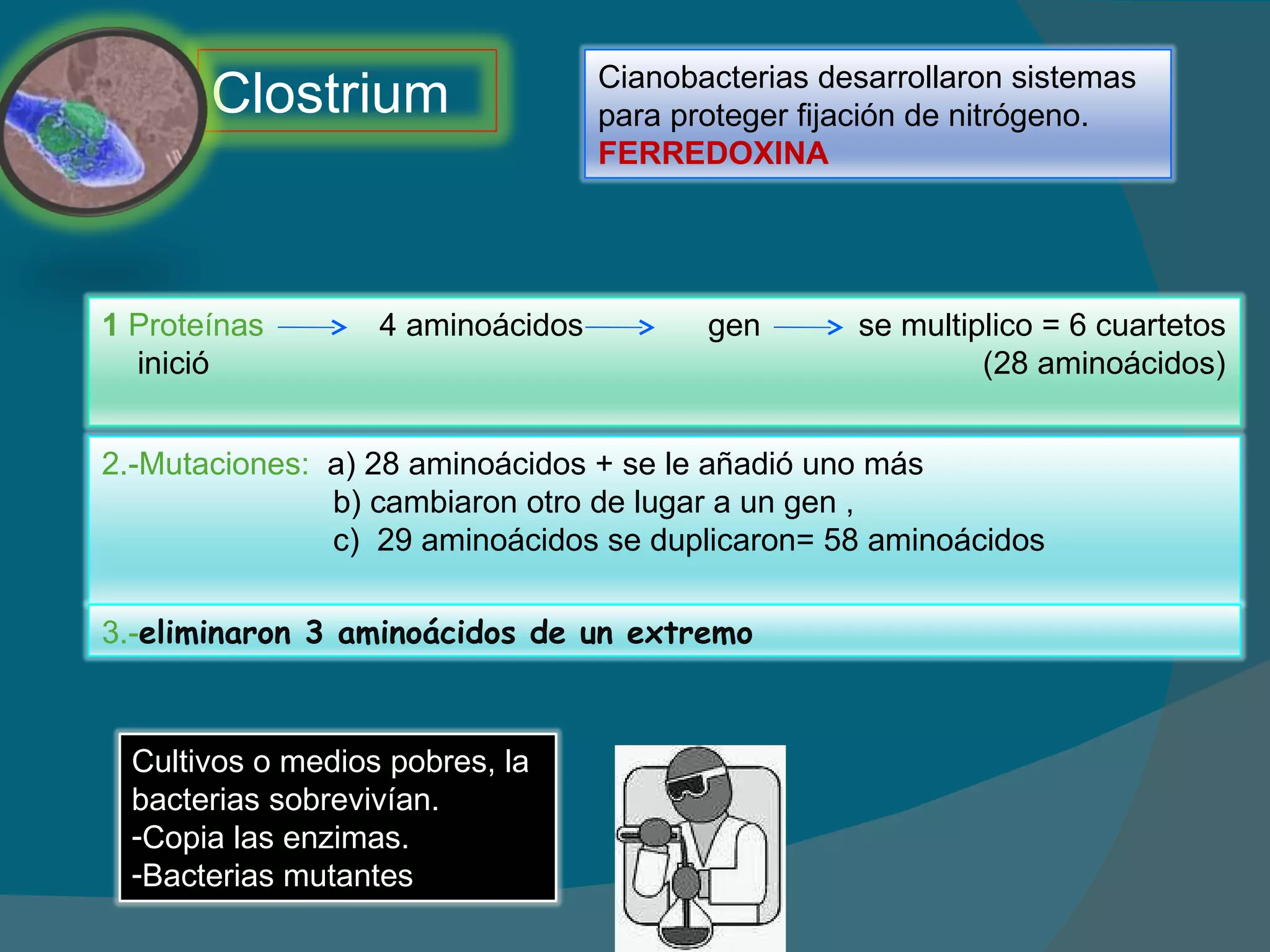 Origen De La Celula Ppt
