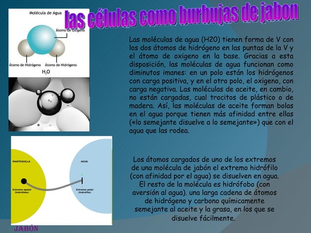 Origen De La Celula Ppt