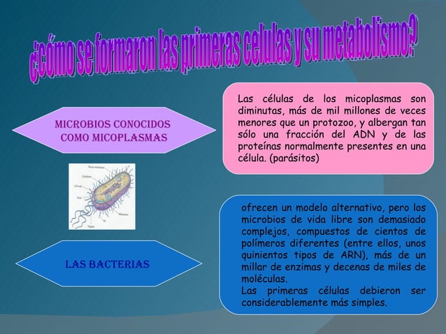 Origen De La Celula Ppt