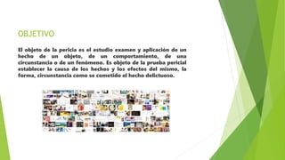 ORIGEN DE LA PERICIA.pptx