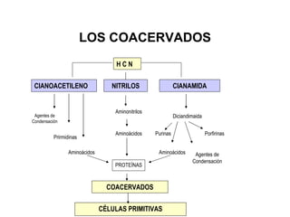 Origen de las biomoléculas | PPT