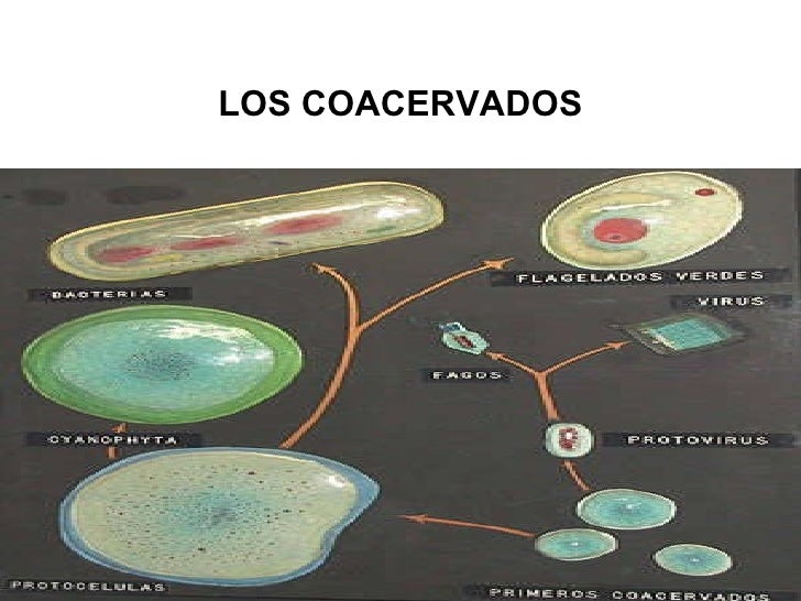 Origen de las biomoléculas