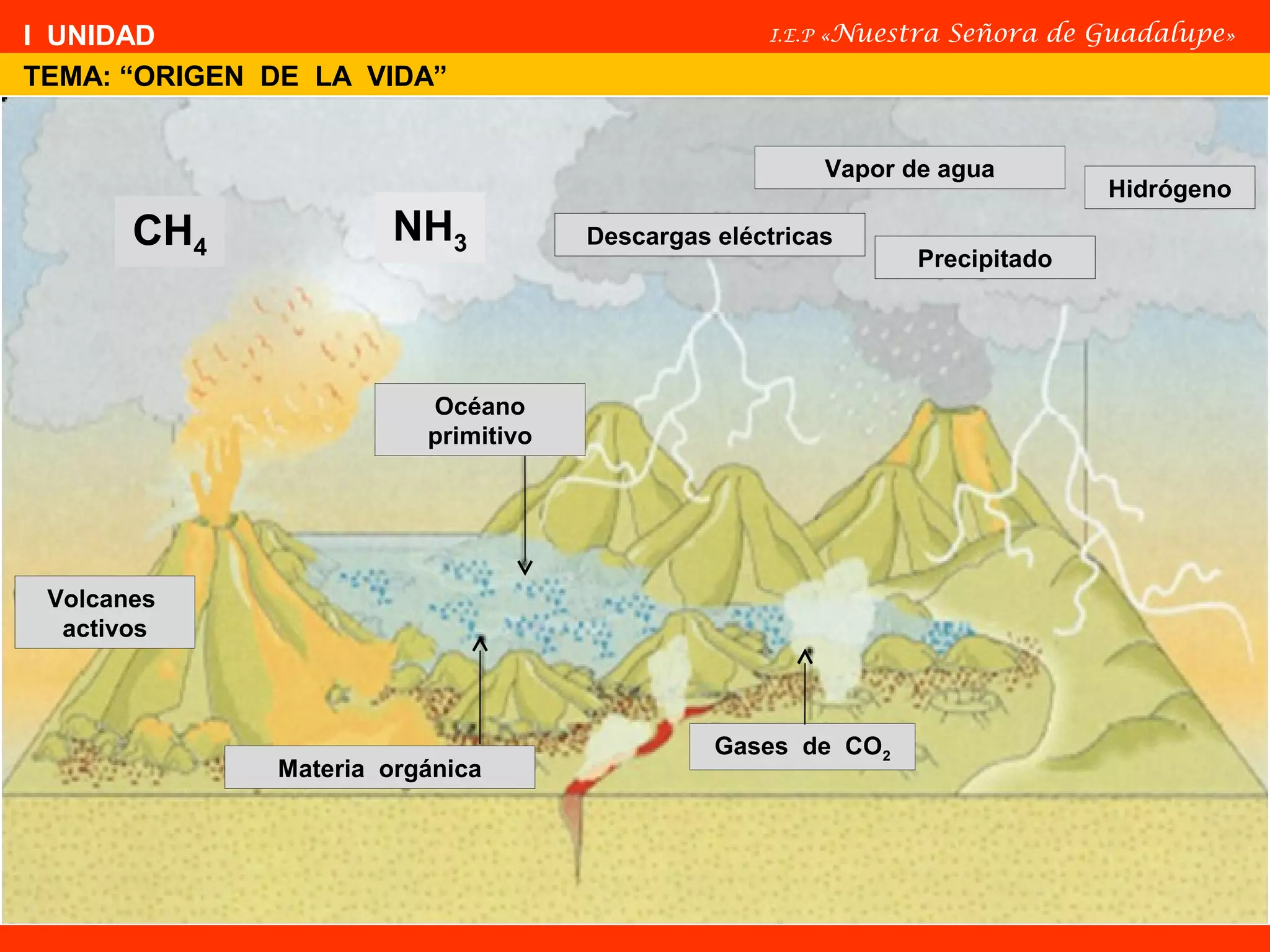 Origen de la vida | PPT