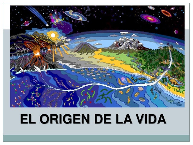 Origen De La Vida
