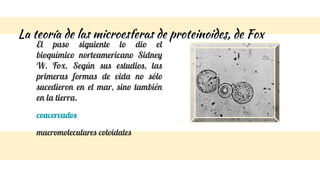Origen de la vida | PPTX