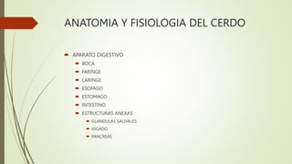 ORIGEN DEL CERDO MVZ-ALAN ATORA.pptx