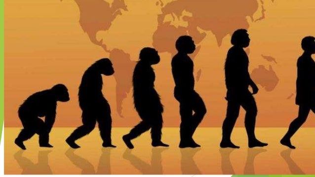 Origen del ser humano - Concept Map