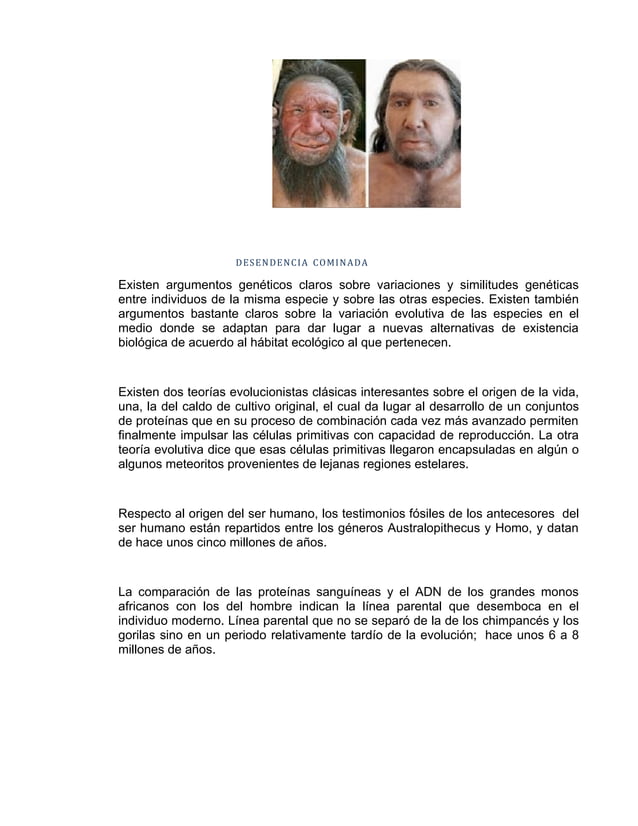 Origen del humano | DOC
