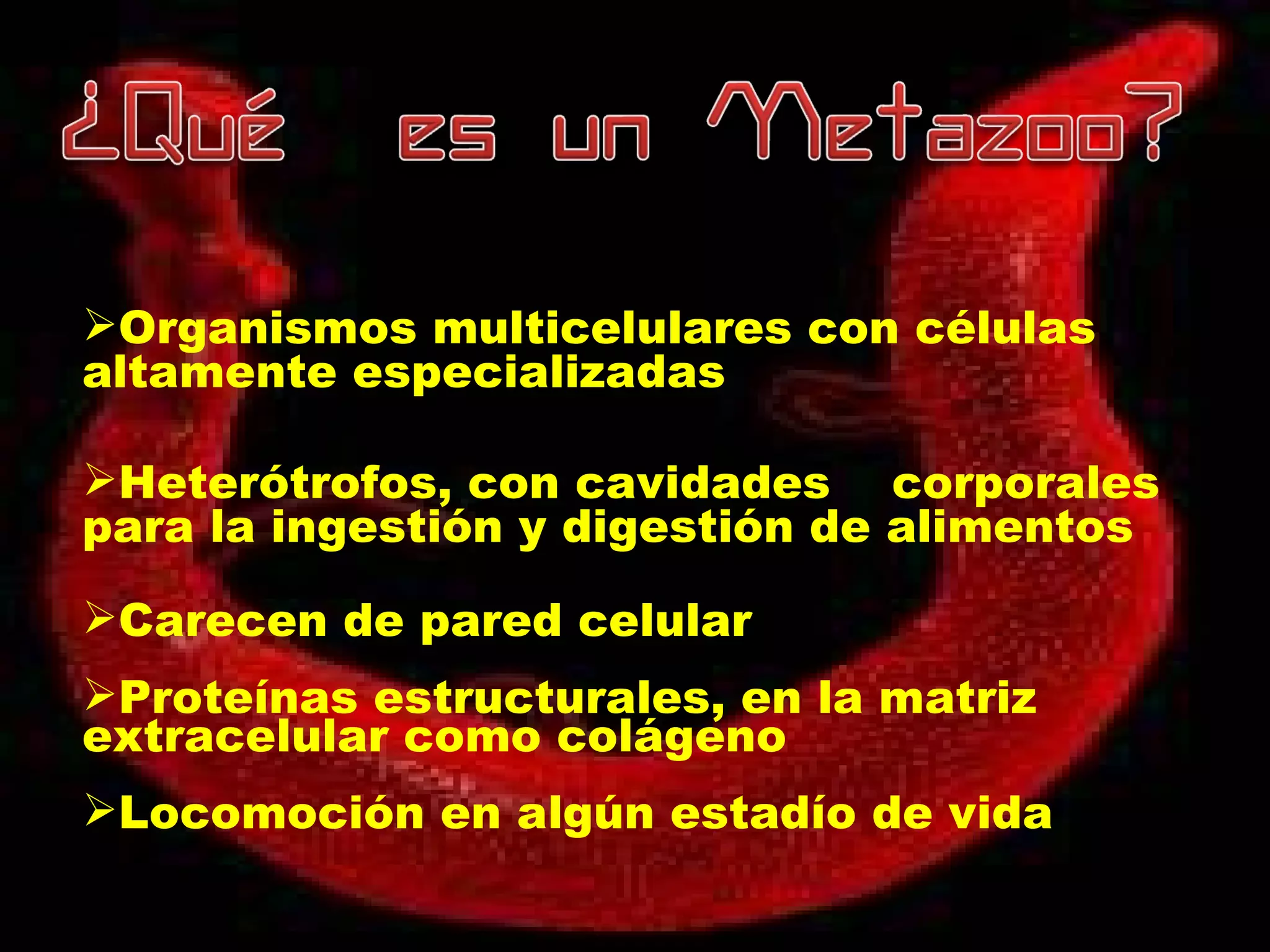 Origen de los metazoos | PPT