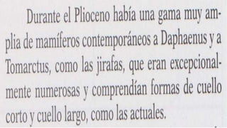 Origen del perro y gato | PPTX | Dogs | Pets