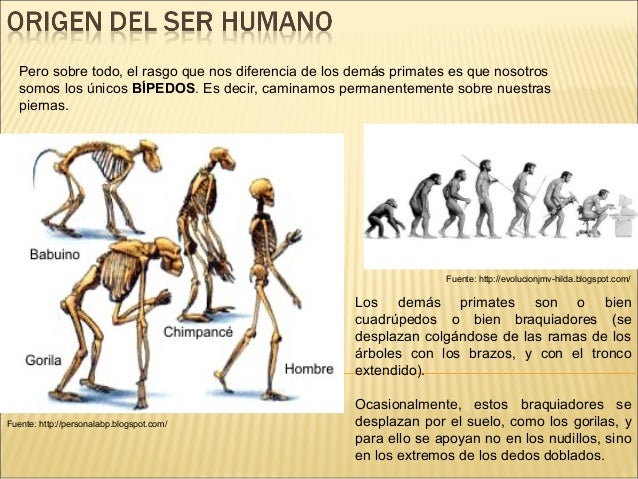 Origen del ser humano
