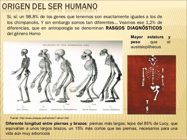 Origen del ser humano