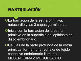 Origen del Sistema Nervioso por Karen Castillo | PPTX