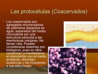 Origen de vida_teorias | PPT