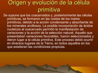 Origen de vida_teorias | PPT