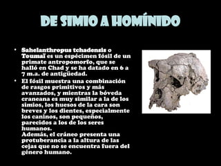 ORIGEN Y EVOLUCIÓN DEL HOMBRE EN LA NATURALEZA | PPT