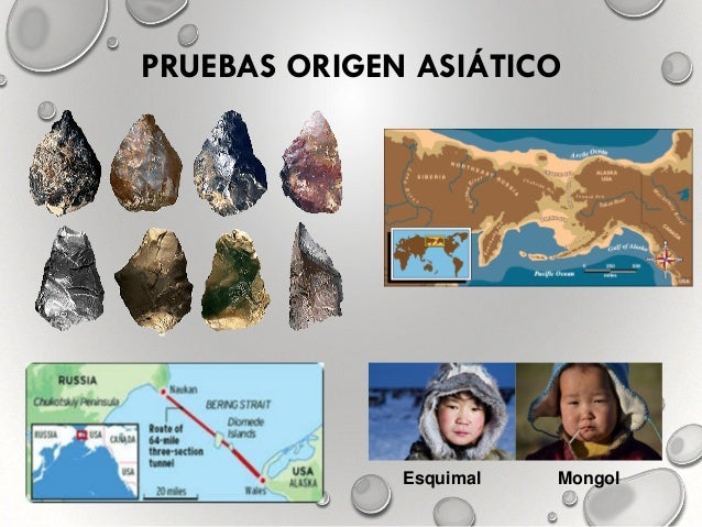 La Teoria Del Origen Unico - slingo