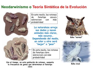 Origen y Evolución_4M.pdf