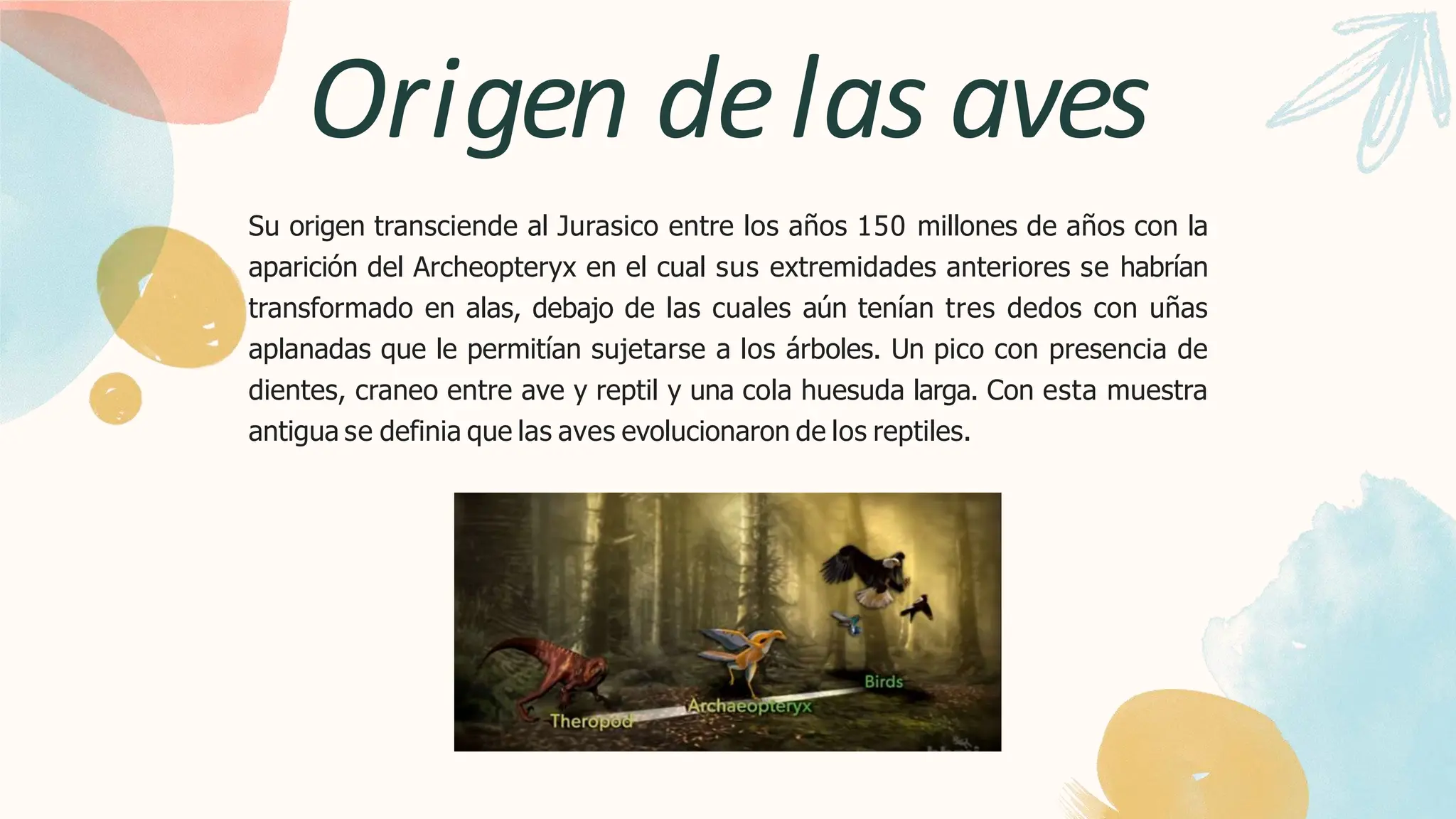 ORIGEN Y EVOLUCIÓN DE LAS AVES - ZOOLOGIA SISTEMATICA II.pptx