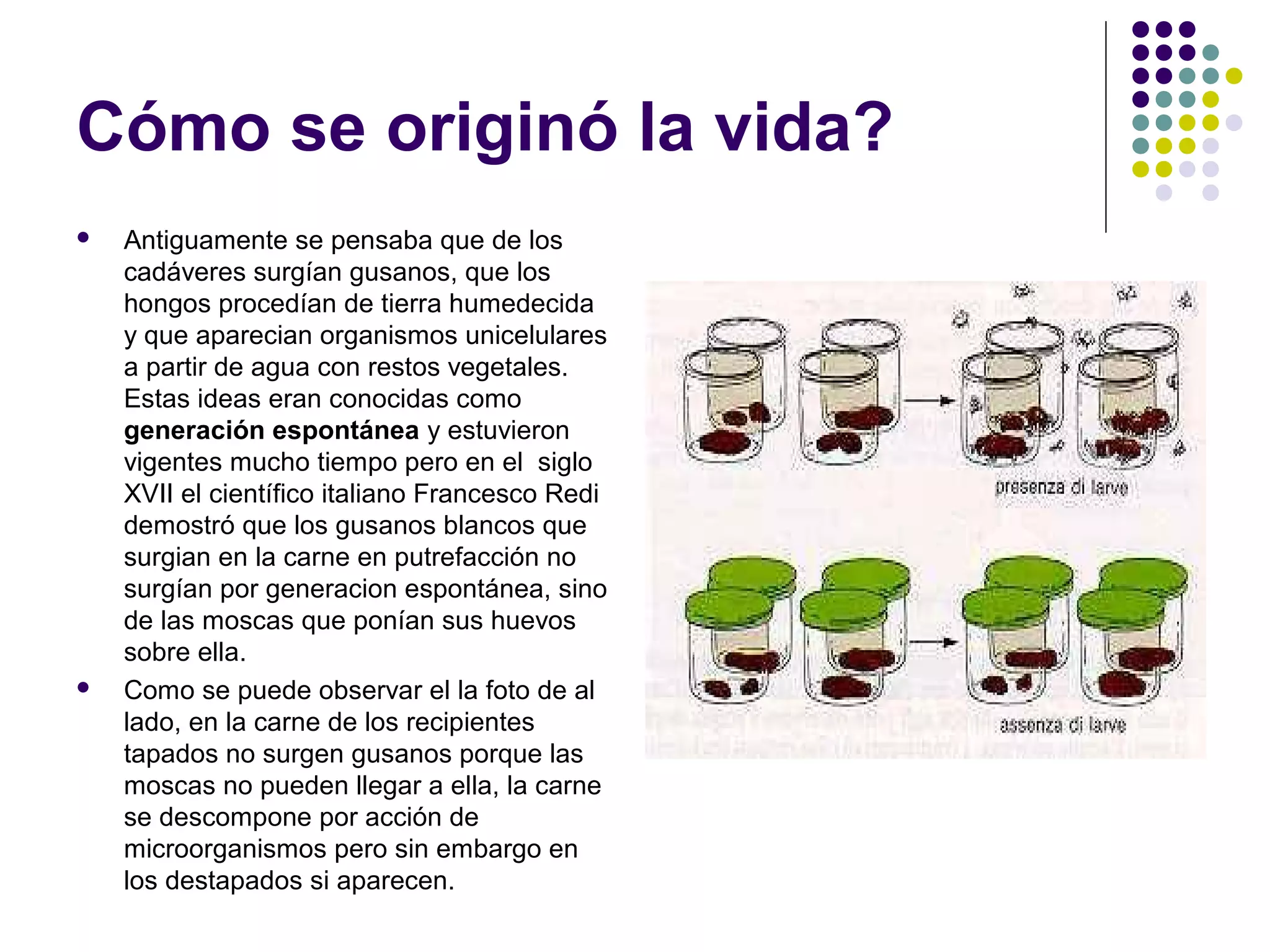 Origen y evolución de los seres vivos | PPT