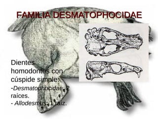 Origen Y EvolucióN De PinníPedos | PPT