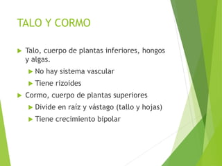 ORIGEN Y MORFOLOGIA BIOLOGIA DE LAS PLANTAS | PPTX