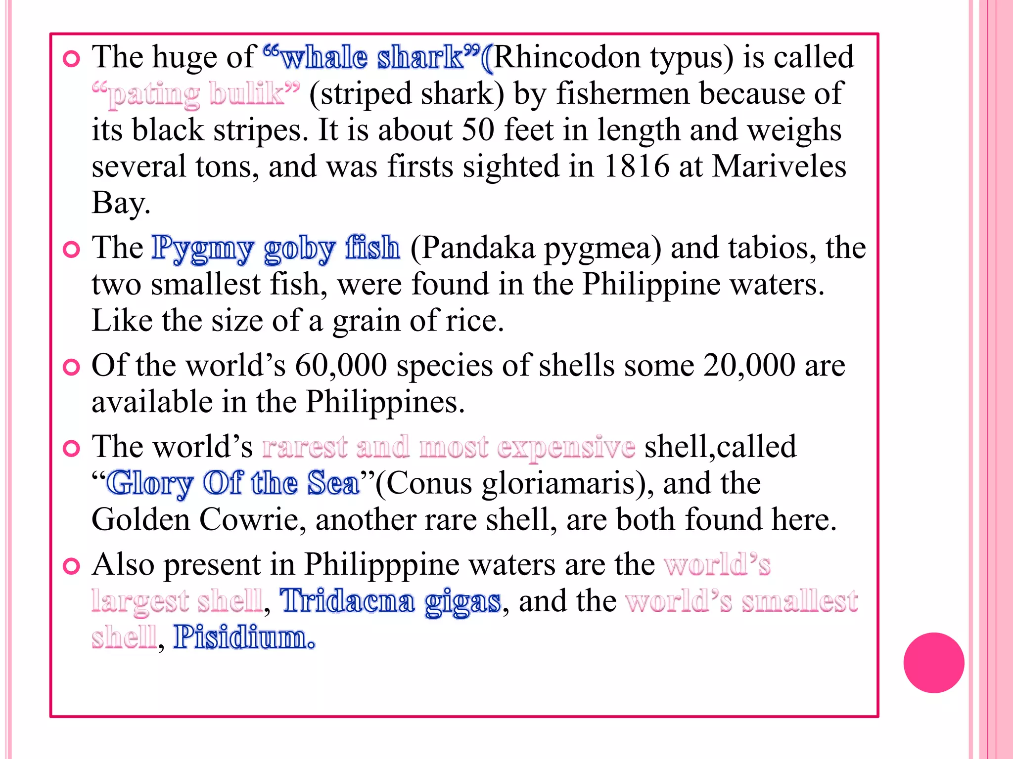origin-and-geography-of-the-philippines.ppt