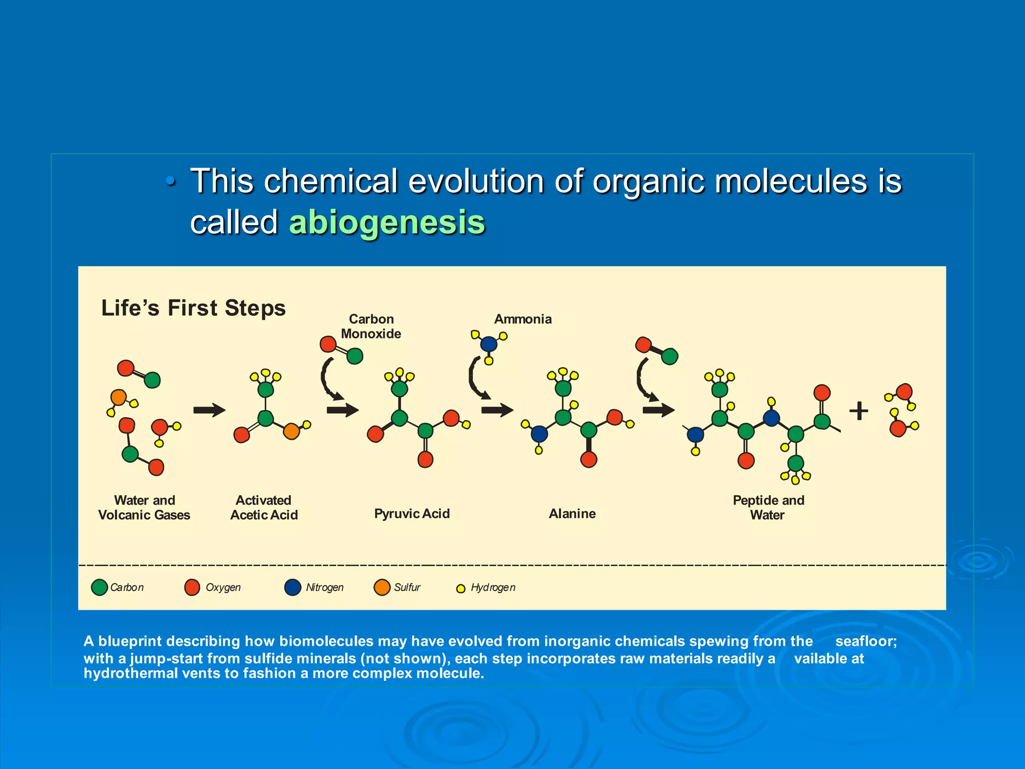 origin-early-evolution-life.ppt
