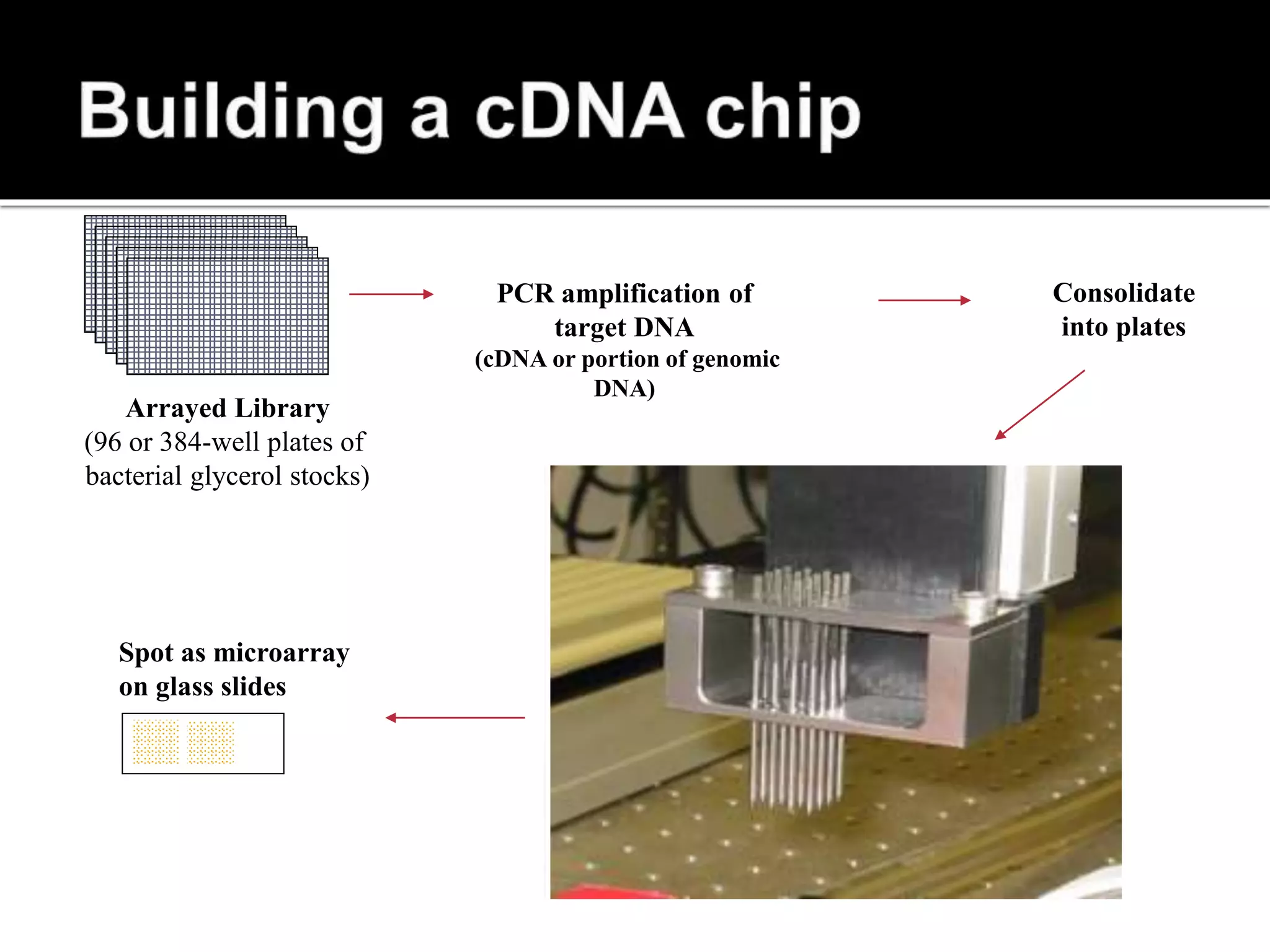 DNA microarray | PPTX