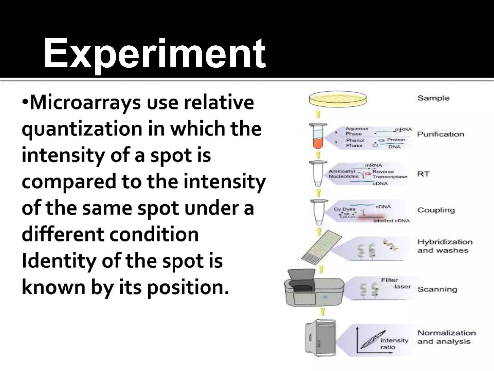DNA microarray | PPTX