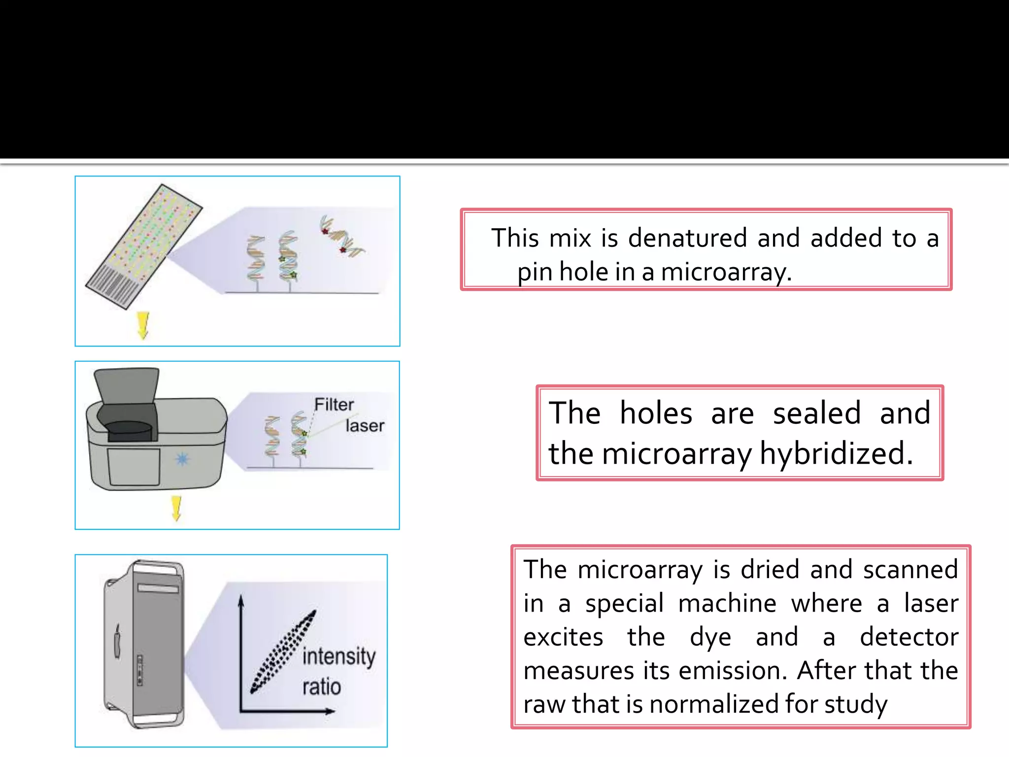 DNA microarray | PPTX